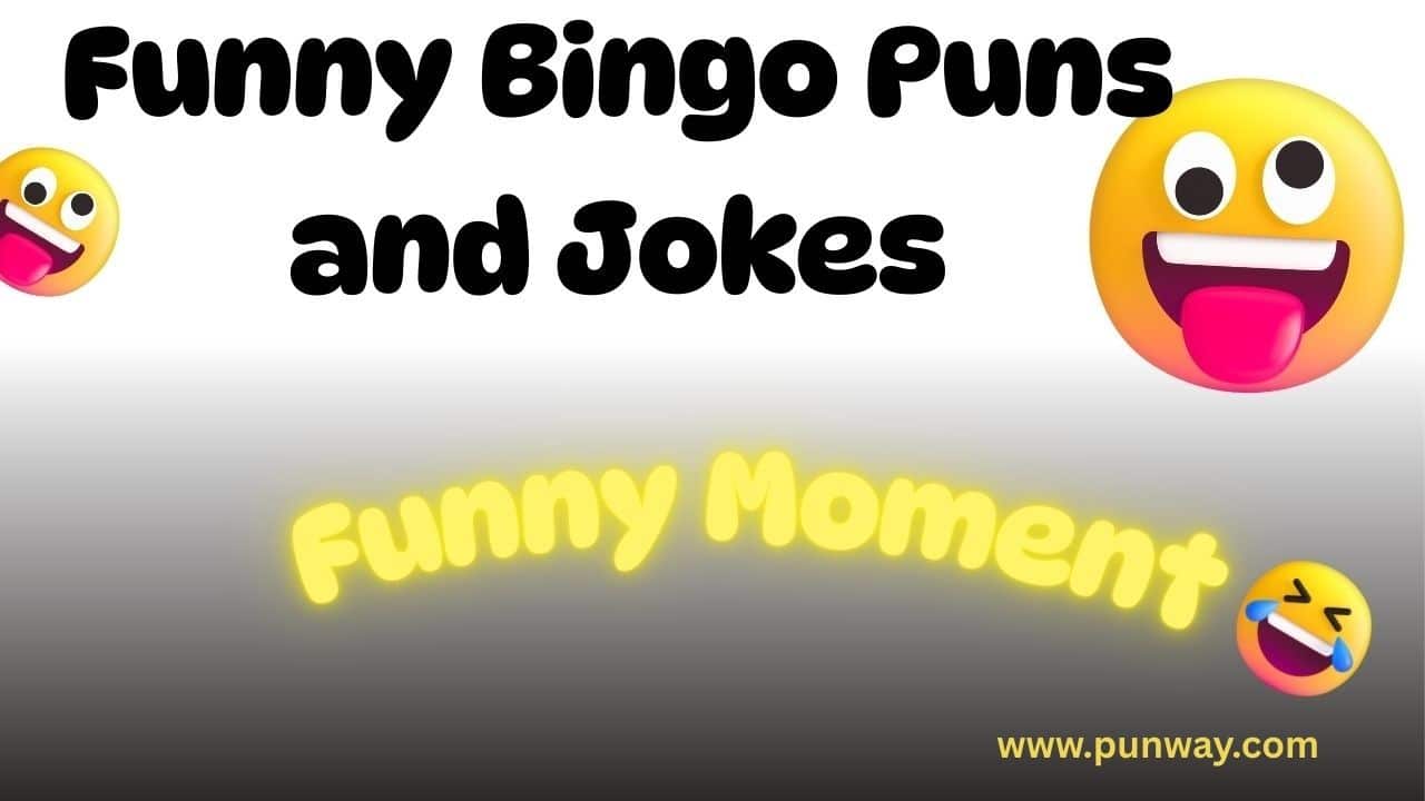 Funny Bingo Puns and Jokes 350+ One Liner - Puns Way